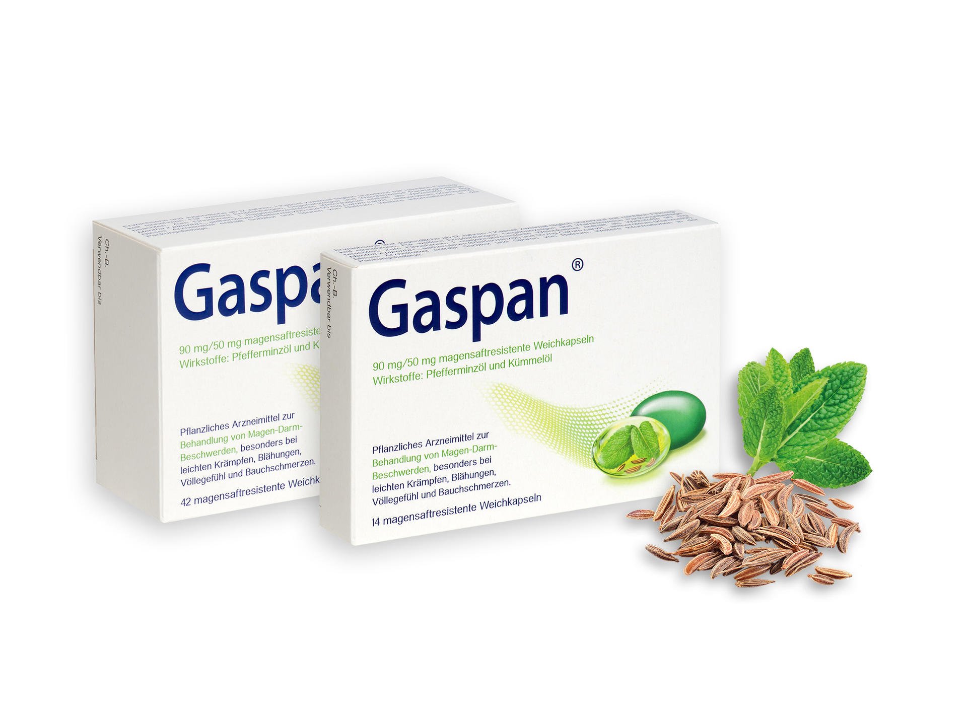 Gaspan® | Schwabe Austria
