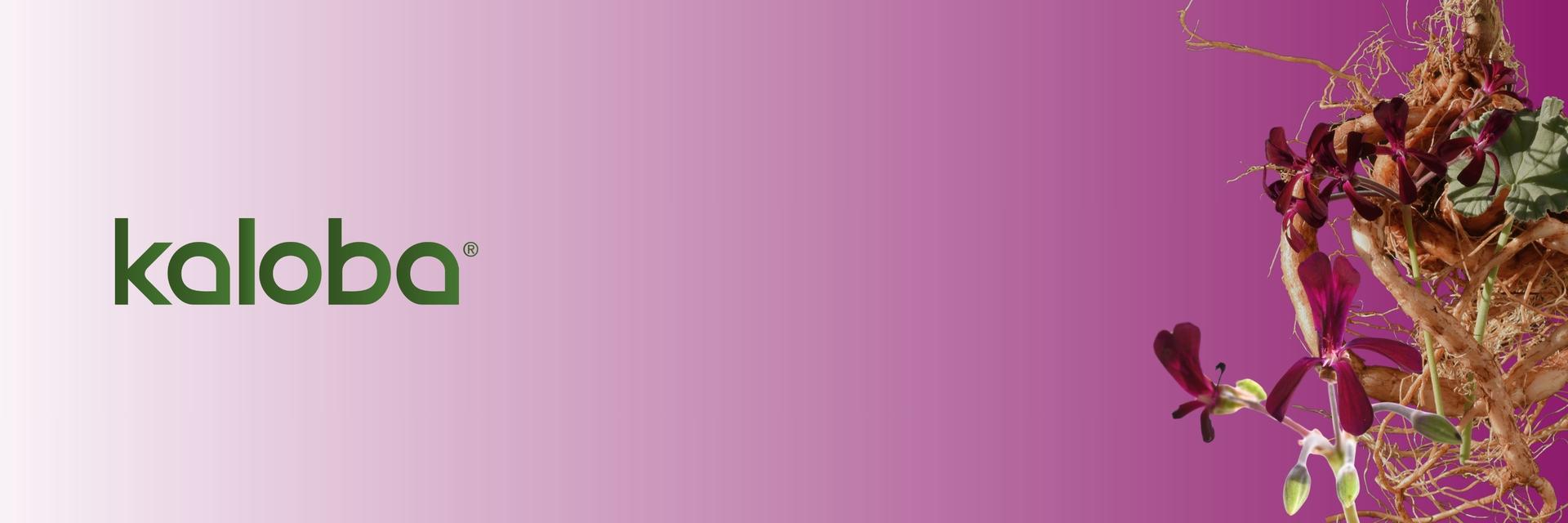 So wird Kaloba® dosiert | Schwabe Austria